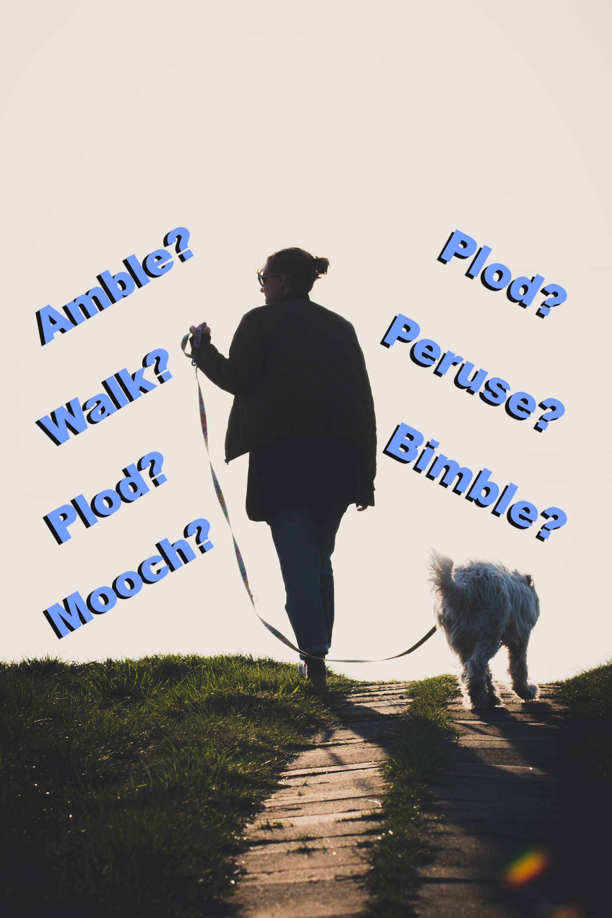 Does Your Pooch Mooch? - Dogs Behaving Gladly